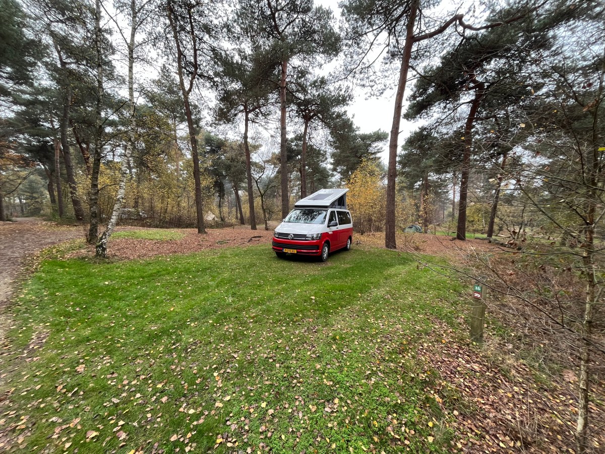 Rouw bij NAH – PLATFORM NAH