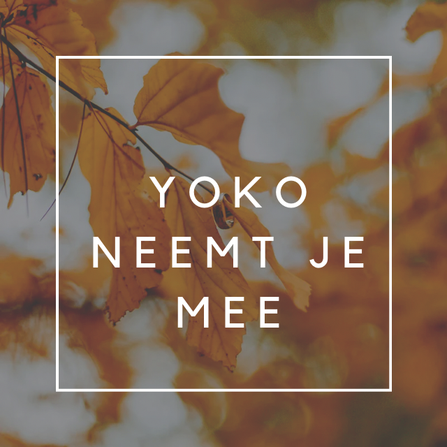 Yoko deel 2 – PLATFORM NAH