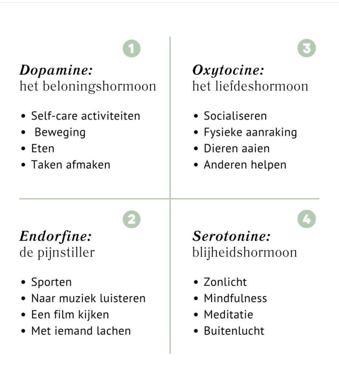 Gelukshormonen deel 1: Serotonine – PLATFORM NAH