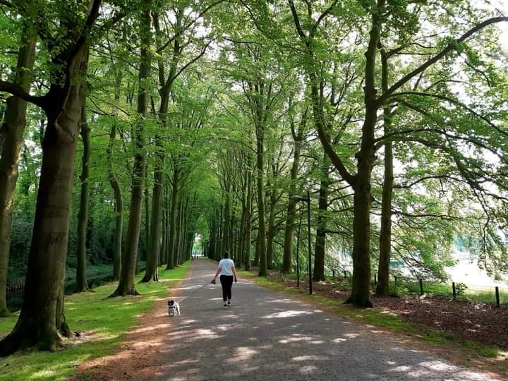 Nathalie: Hoe mijn (liefdes)leven veranderde sinds ik NAH heb (deel II) – PLATFORM NAH