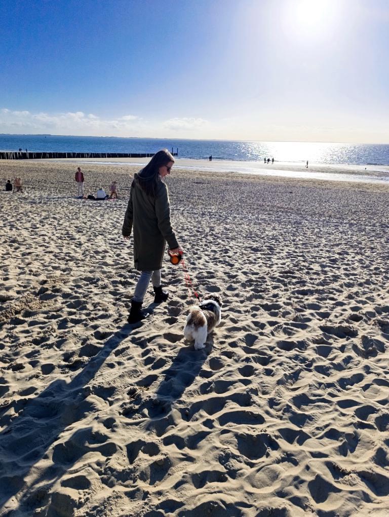 Hersentumor, NAH en aflopend contract – PLATFORM NAH